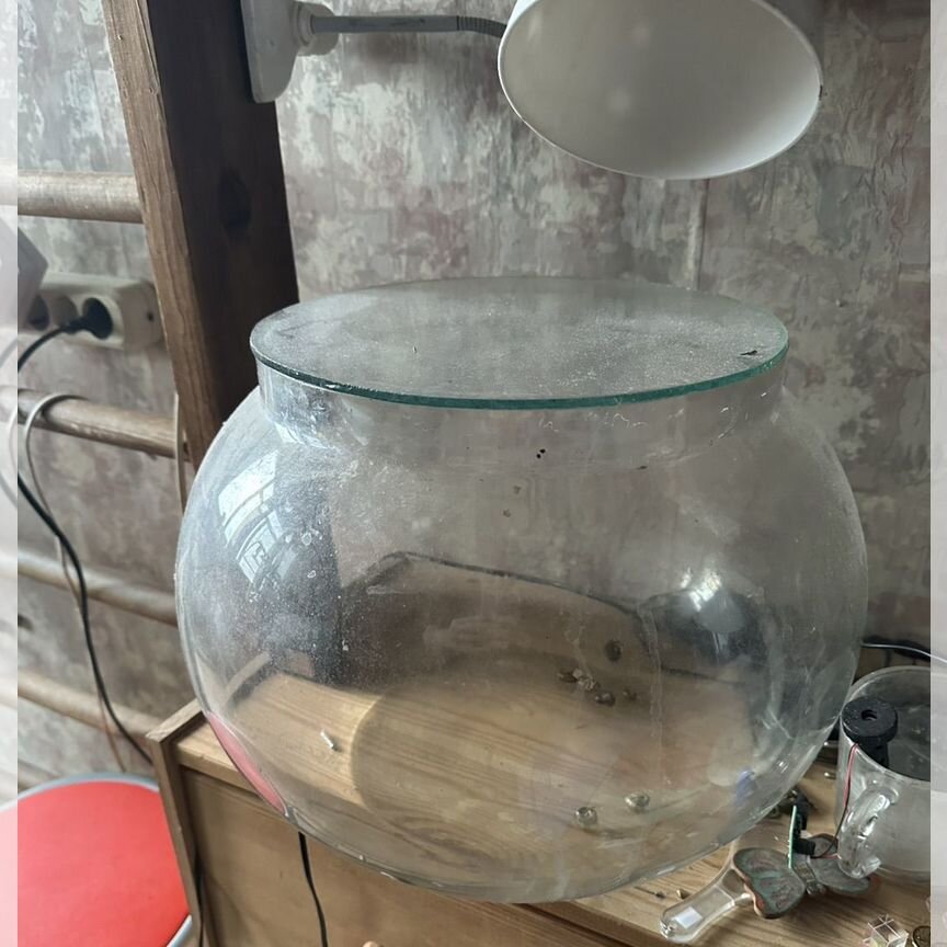 Круглый аквариум в дар