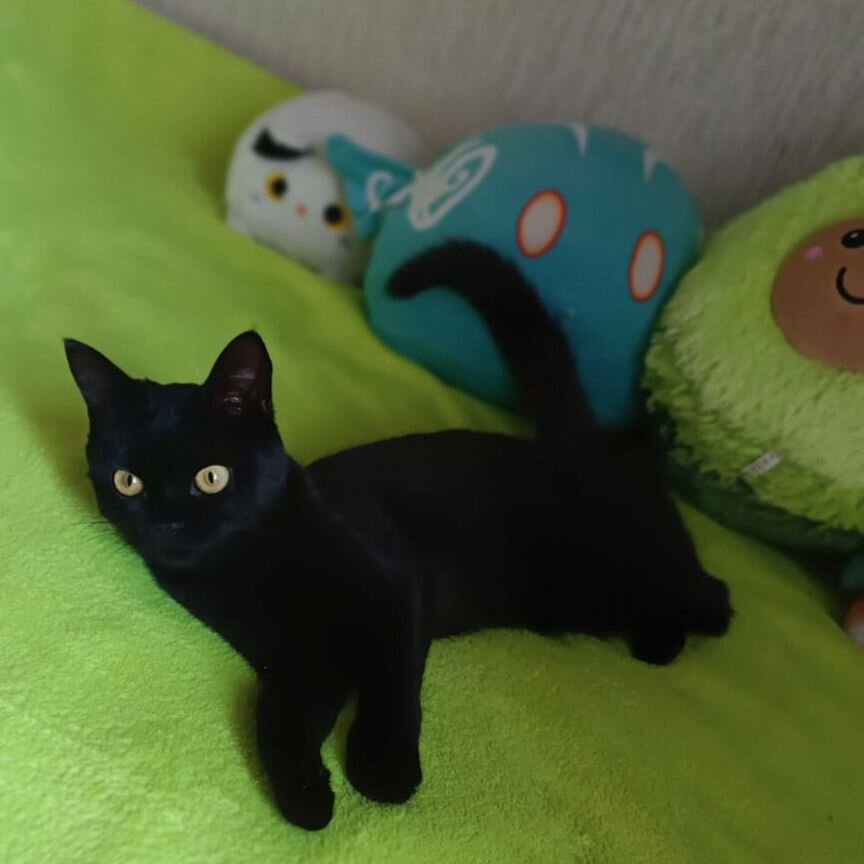 Особенная Агата снова не нужна