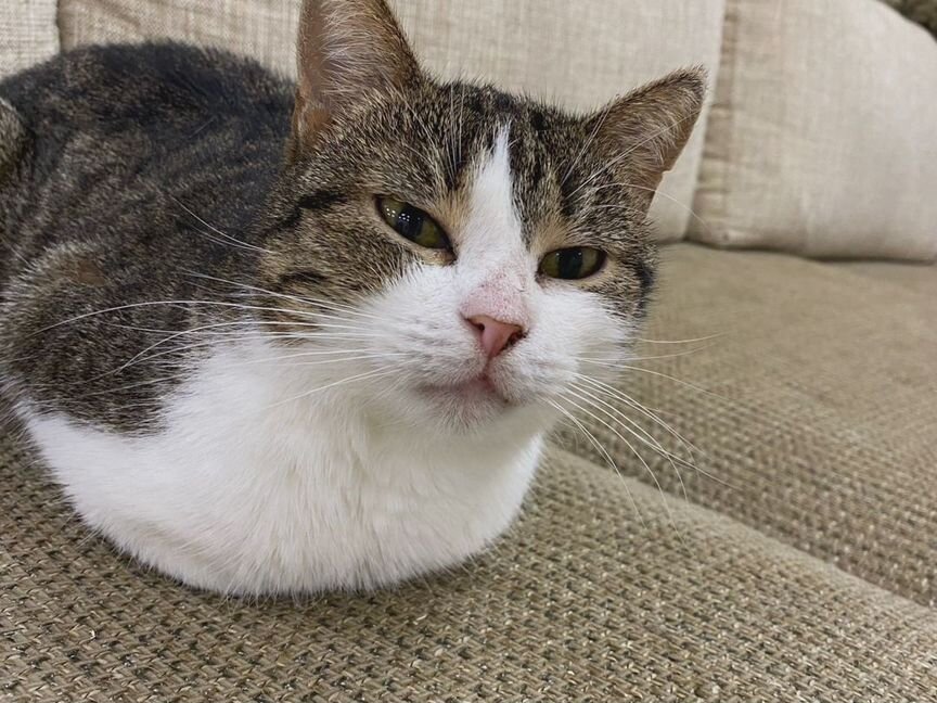 Никто не любит