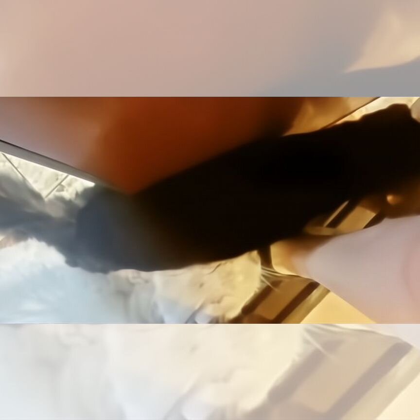 Взрослый кот в добрые руки