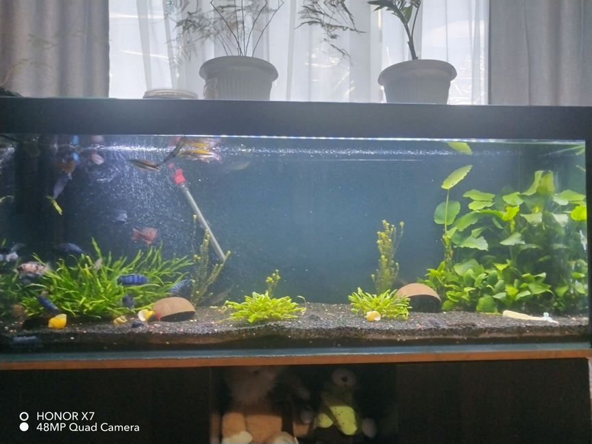Аквариум