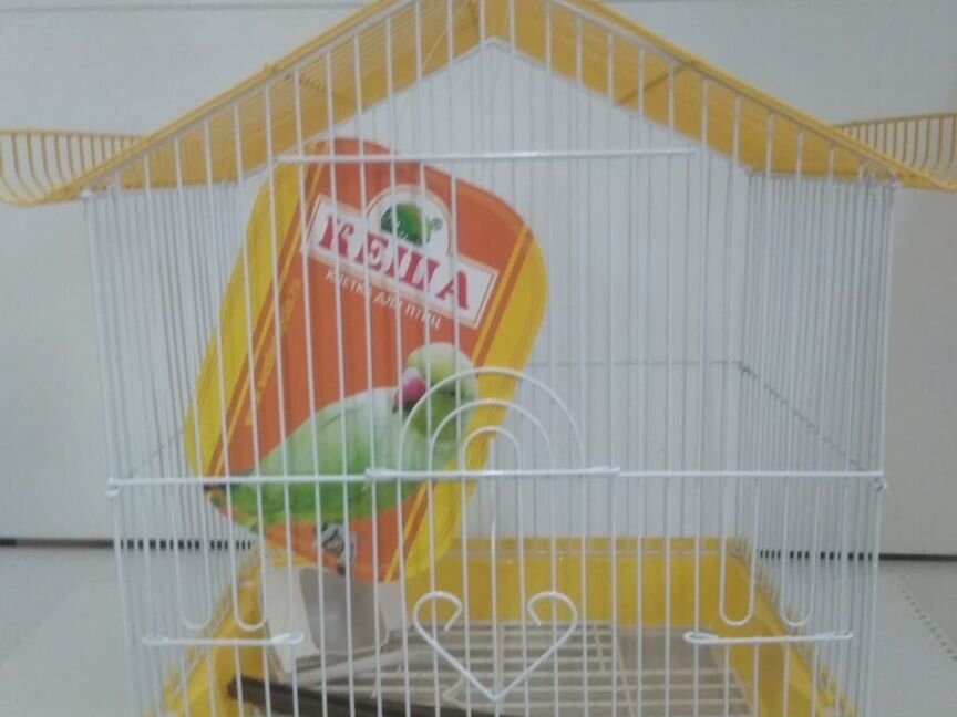 Клетка для попугайчика Новая