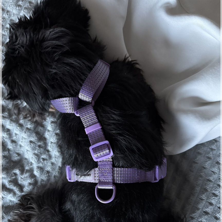 Шлейка для собак pro comfort