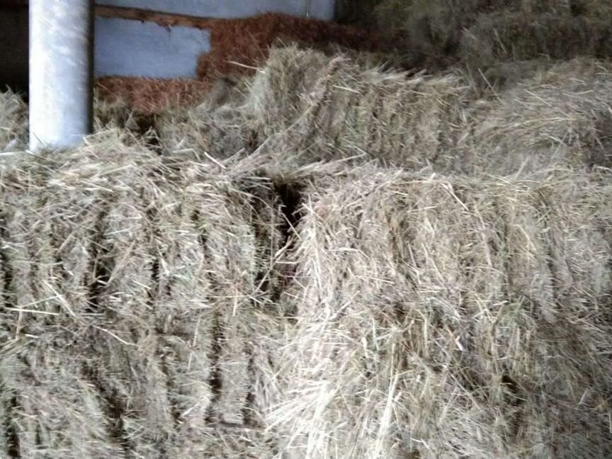 Сено в тюках