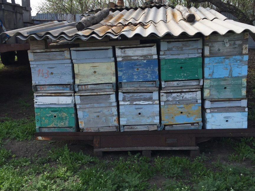 Ульи для пчел бу