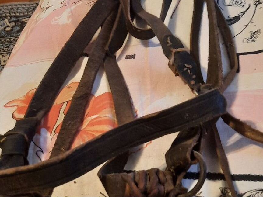 Узда для лошади