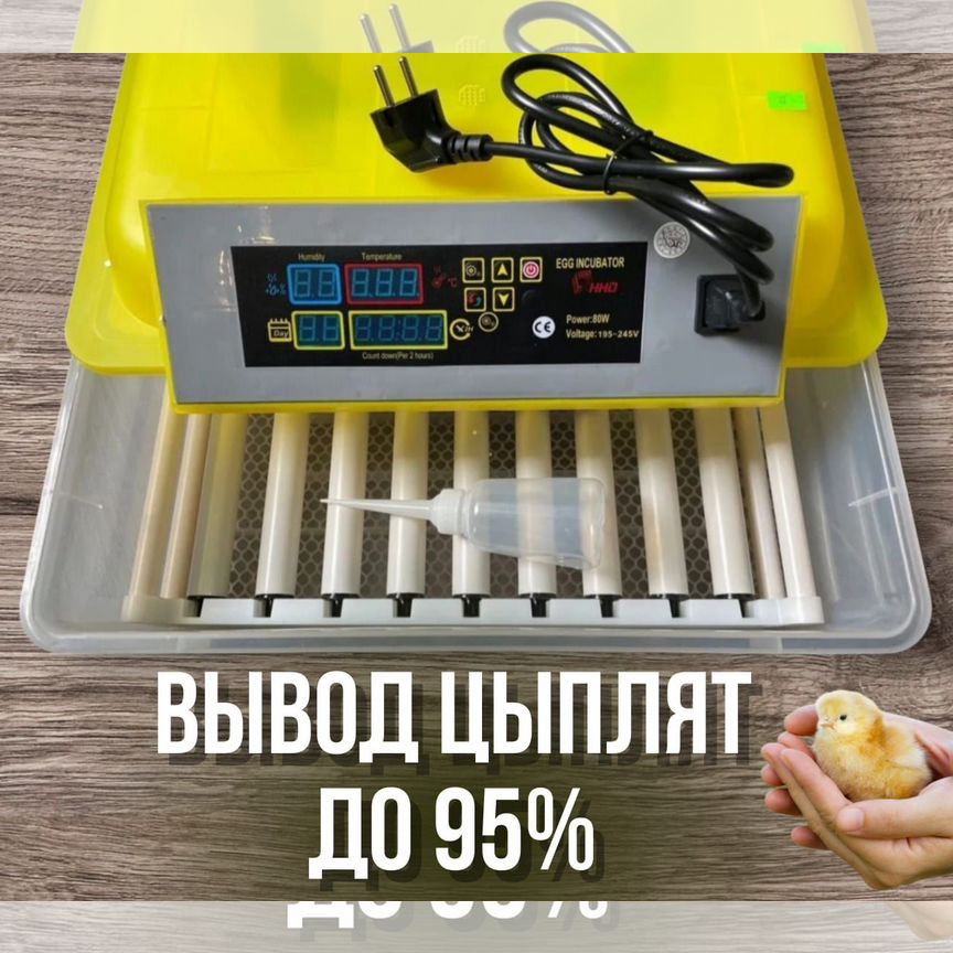 Инкубатор на 54 яйца