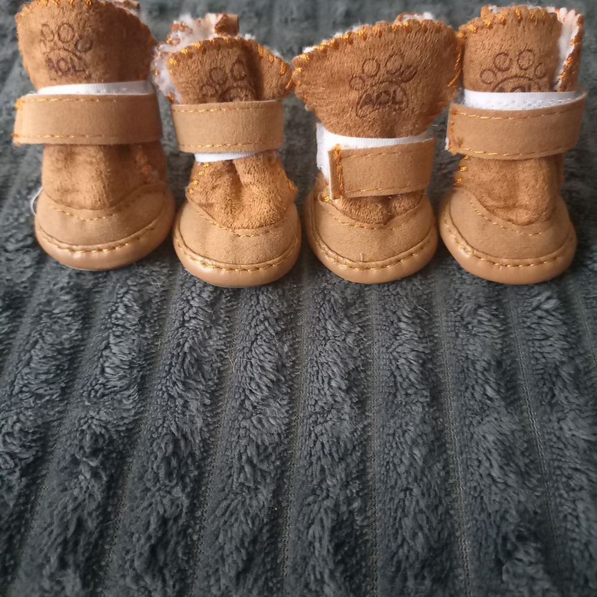 Обувь для собак