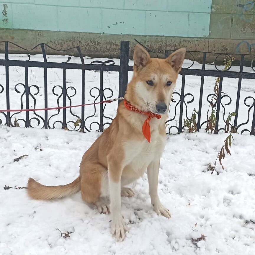 Малышка Бэтти отчаялась, плачет, ждет свою семью