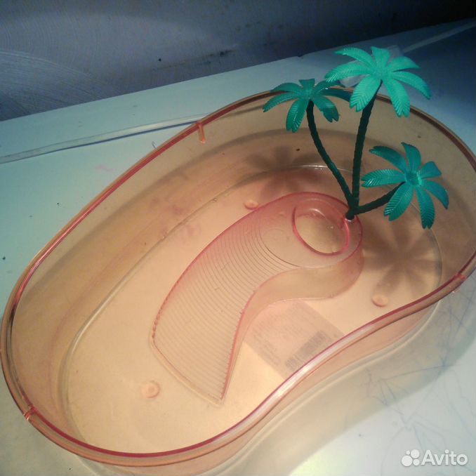 Аквариум для молодой красноухой черепахи