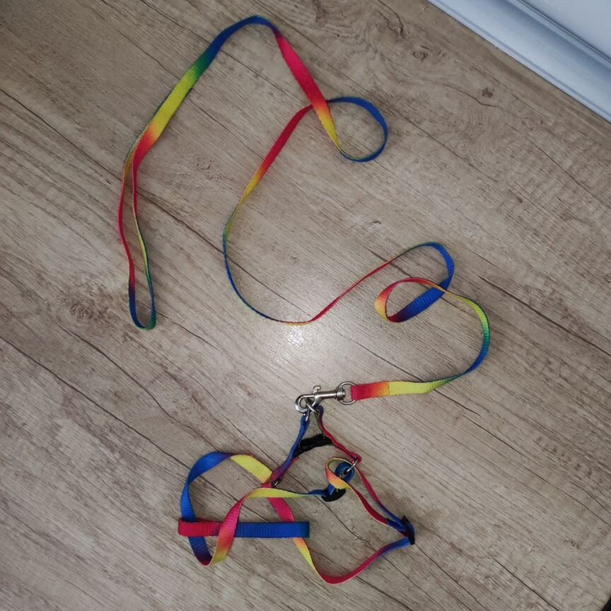 Шлейка для кошки