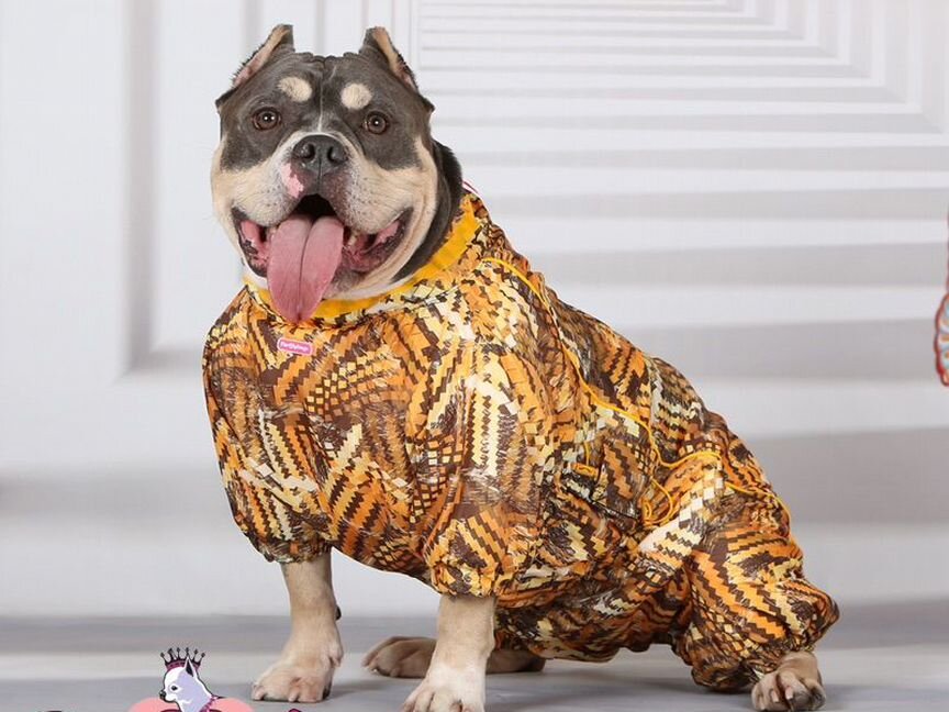 Комбинезон ForMyDogs булли, бульдог девочка