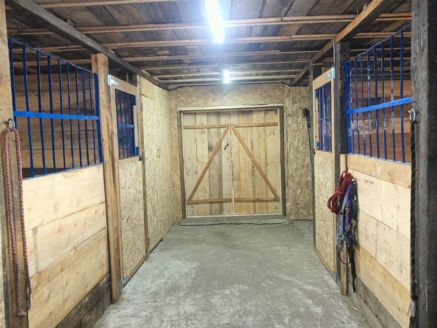 Постой в частной конюшне