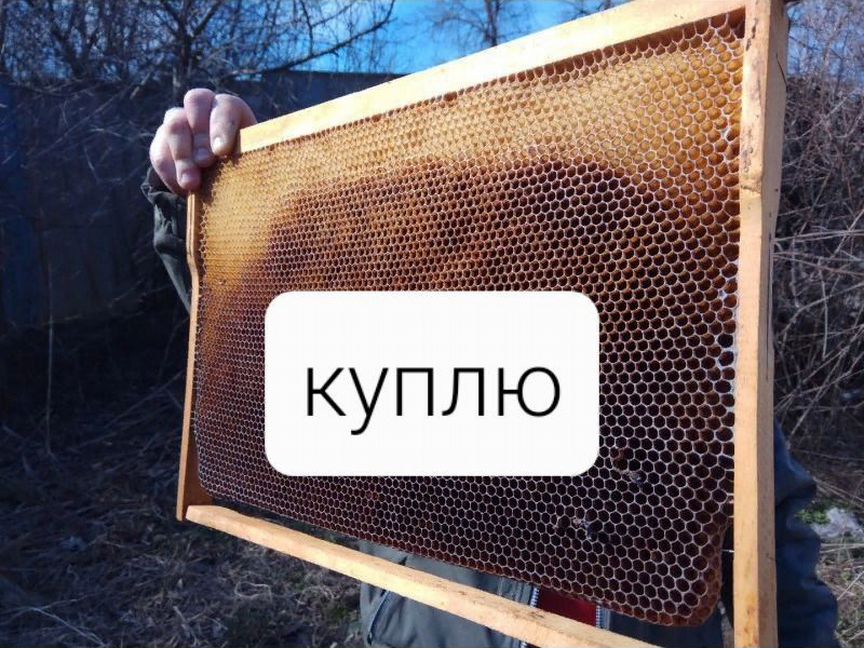 Рамки с сушью