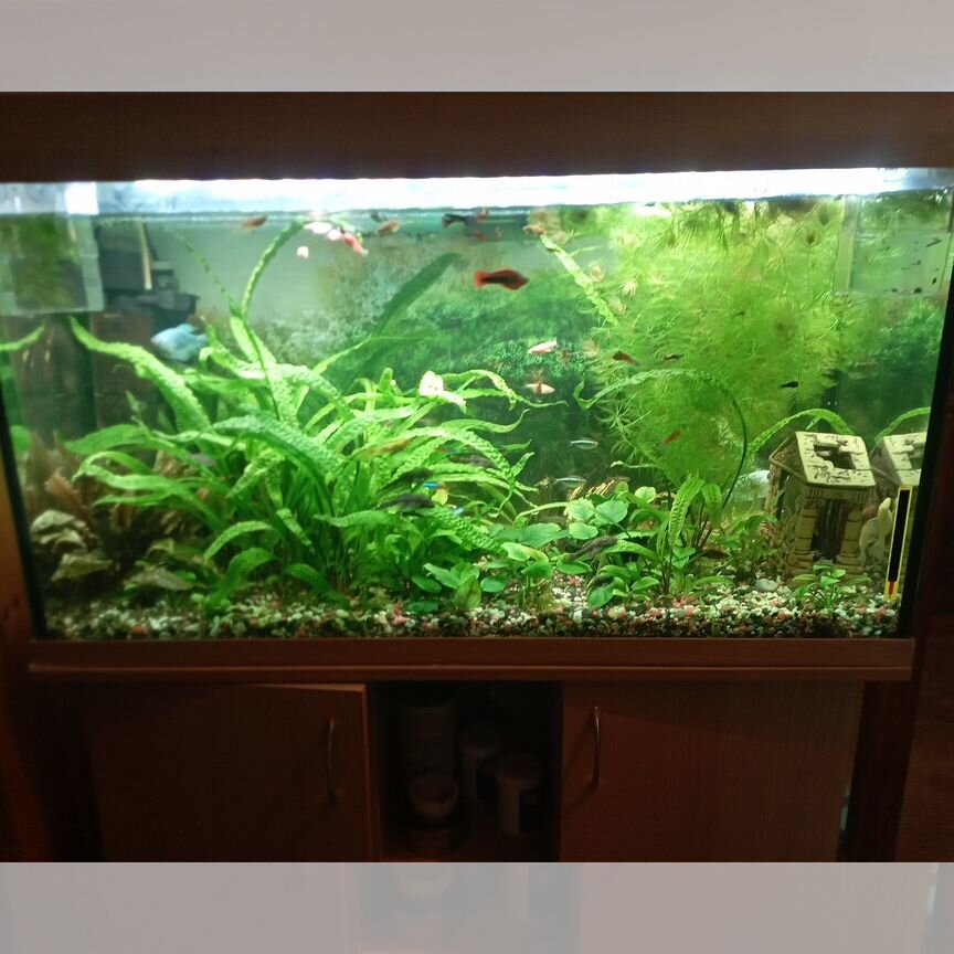 Аквариум с тумбой 200л