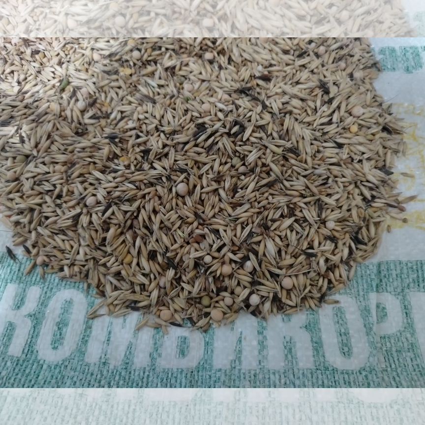 Зерно смесь, сено