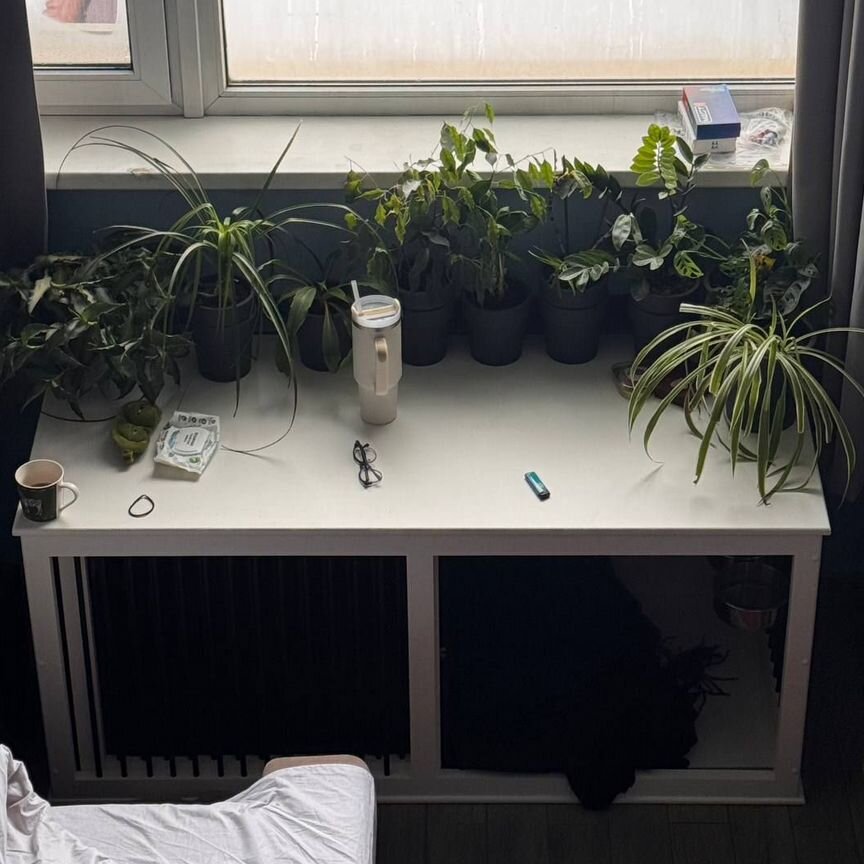 Клетка вольер для большой собаки