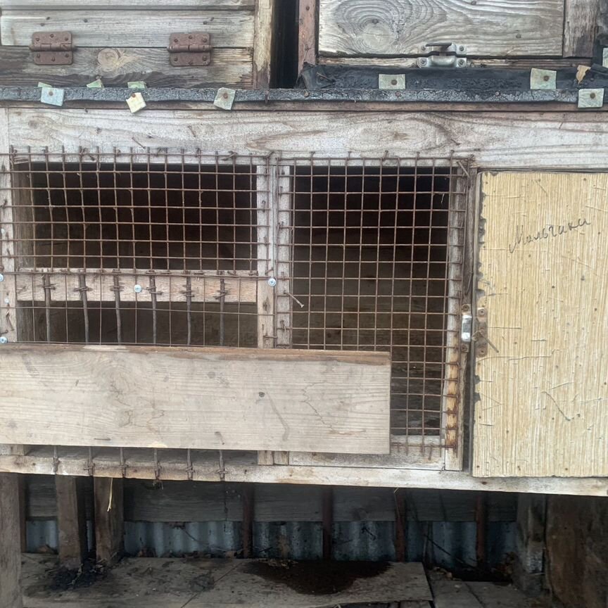 Клетка для кролика