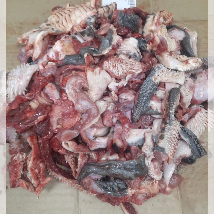 Корм для собак