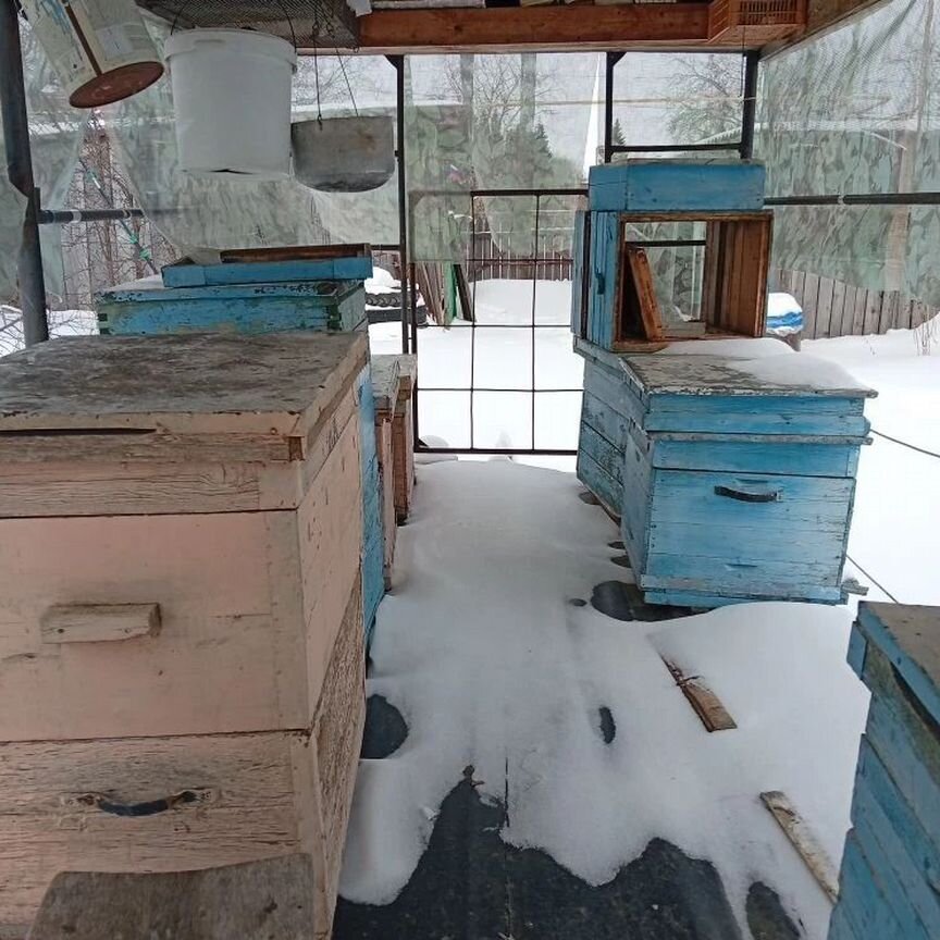 Улий для пчел