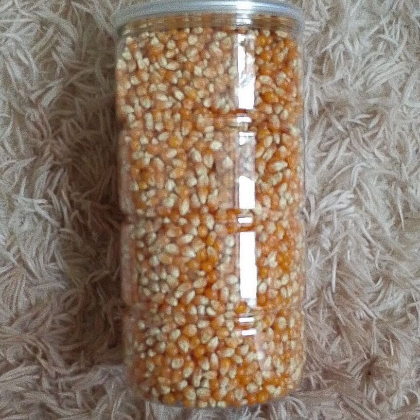 Кукуруза для попкорна 1 кг 250 гр
