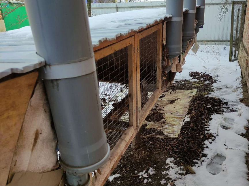 Кроличьи клетки и кормушки