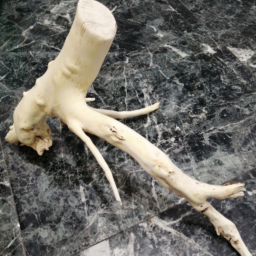 Коряга в аквариум