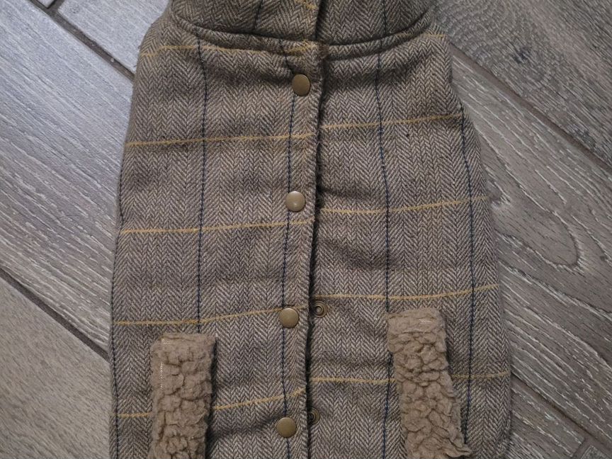 Одежда для средних собак