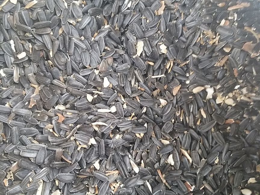 Семечка в мешках