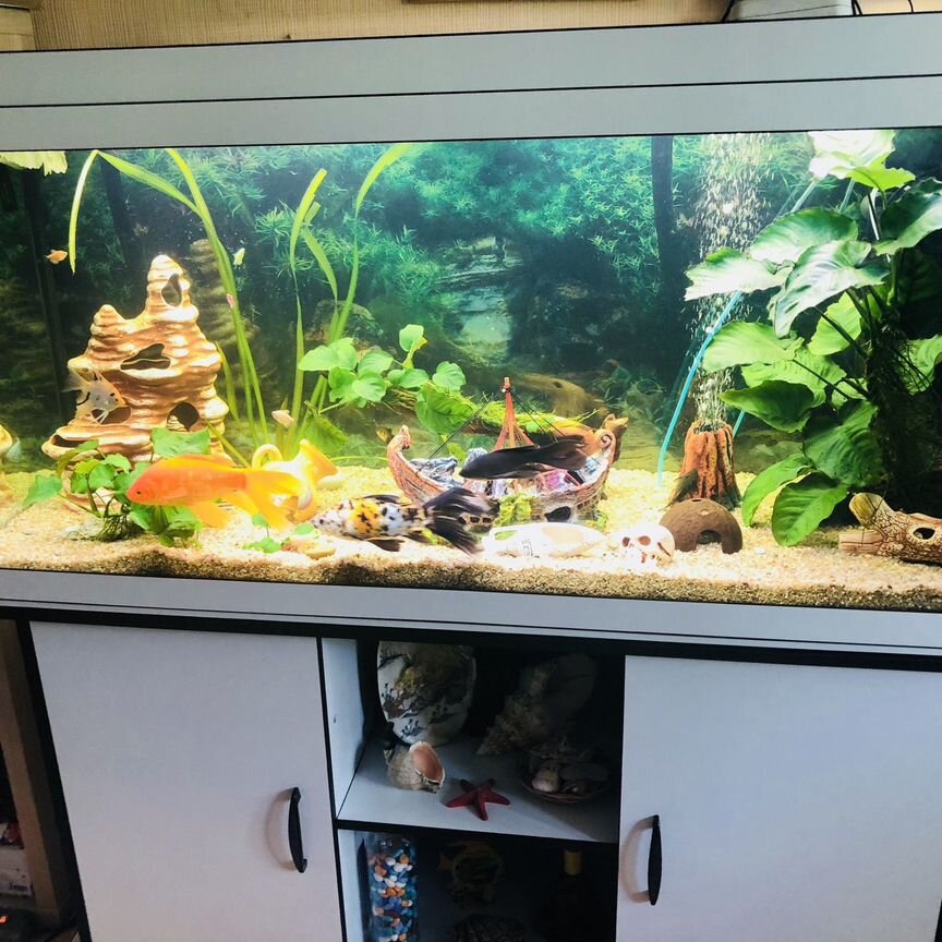 Аквариум 400л