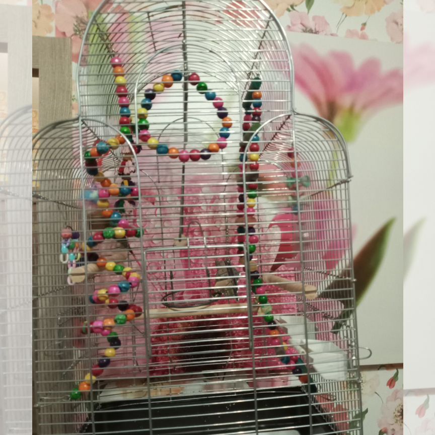 Клетка для попугая большая