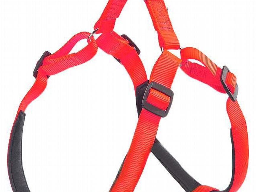 Шлейка для собаки