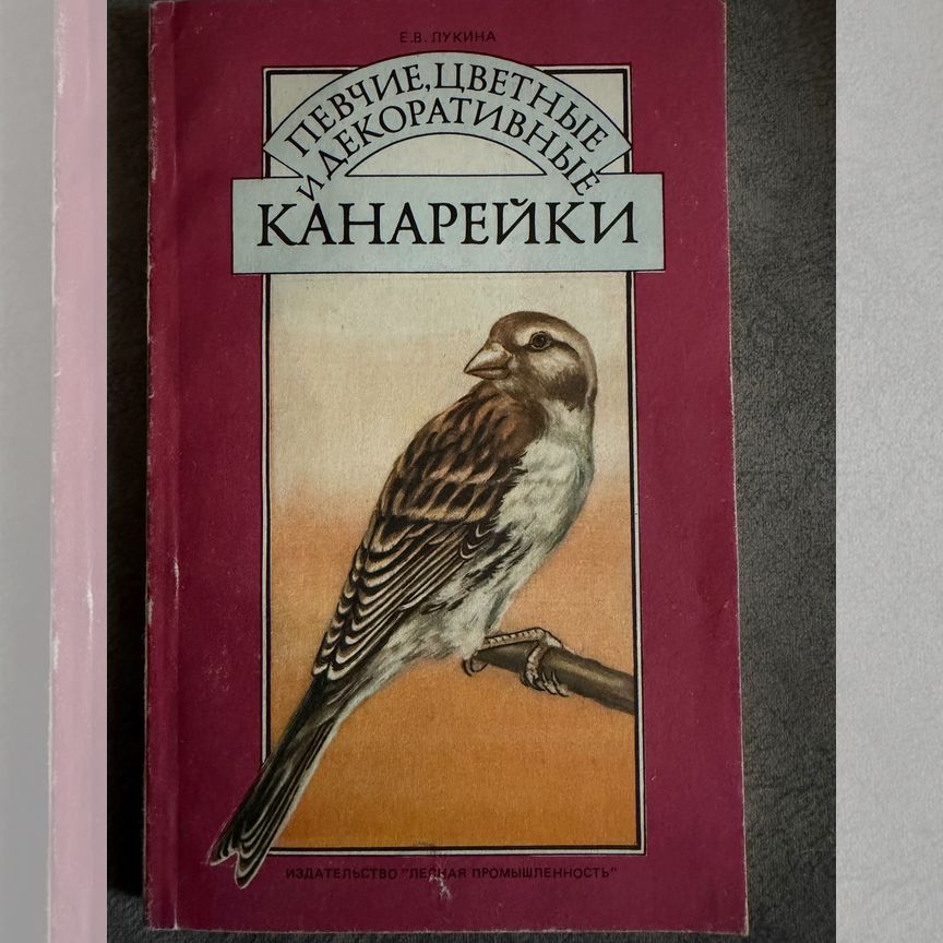 Канарейки дома
