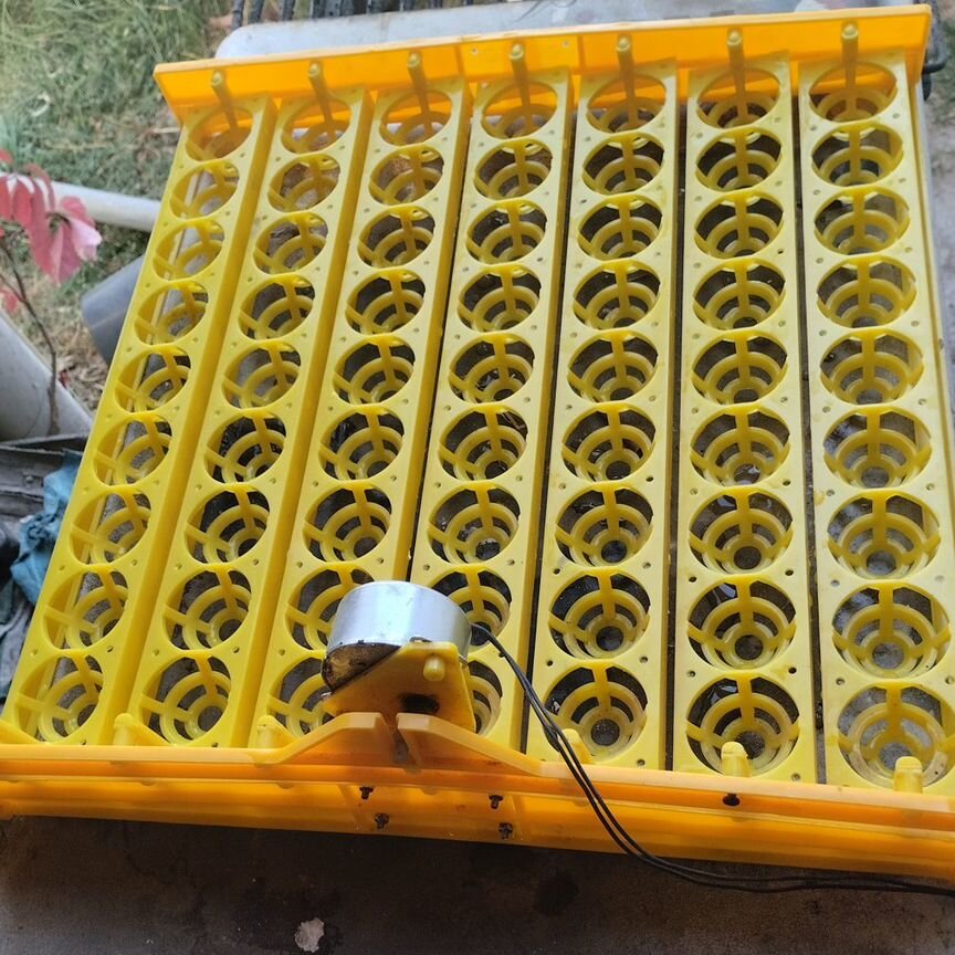 Лоток для яиц в инкубатор