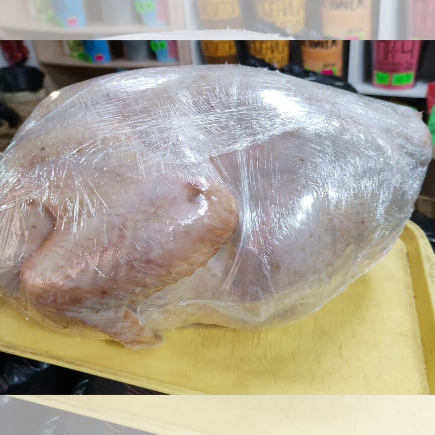 Домашняя индейка