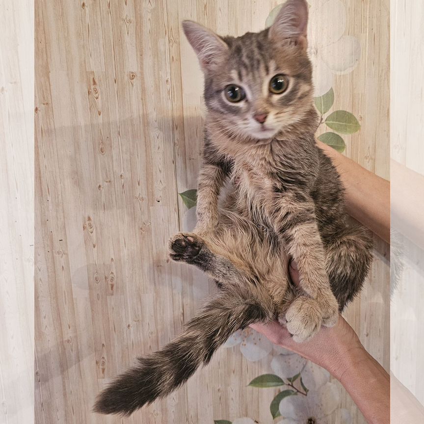 Малышка Соня