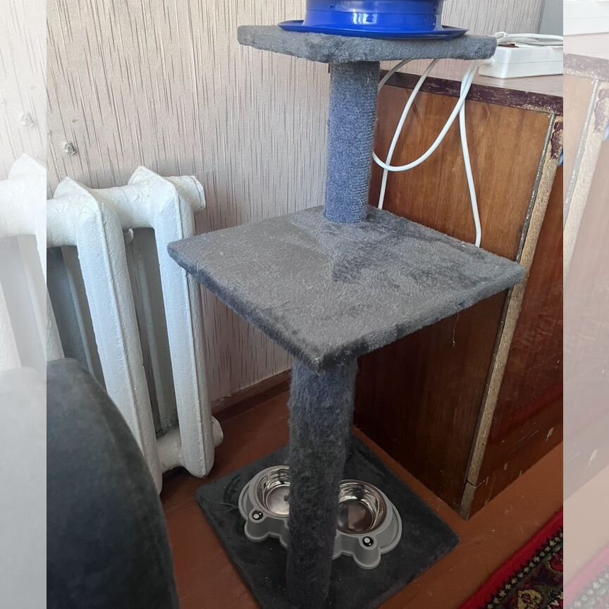 Когтеточка