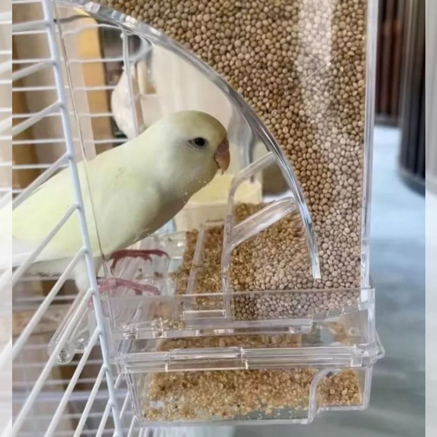 Авто кормушка для попугаев