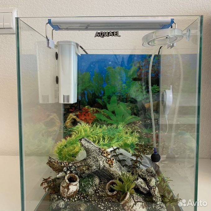 Аквариум со всем инвентарем и рыбками