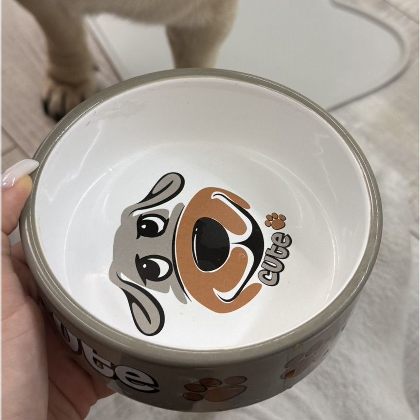 Миска для животных