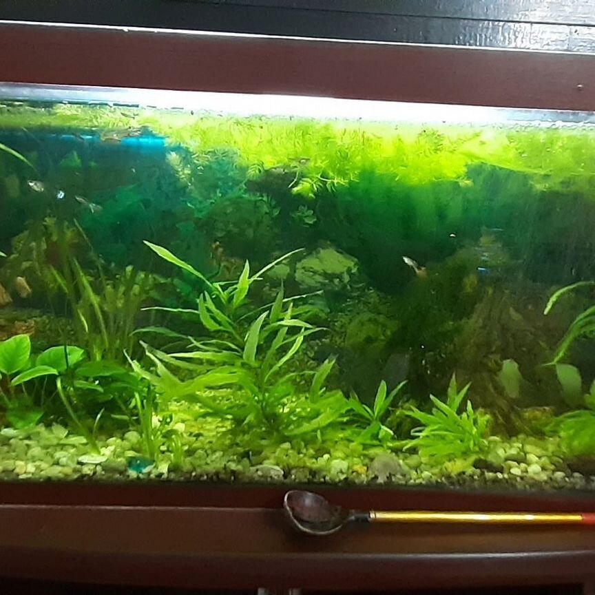 Аквариум с тумбой 250 литров