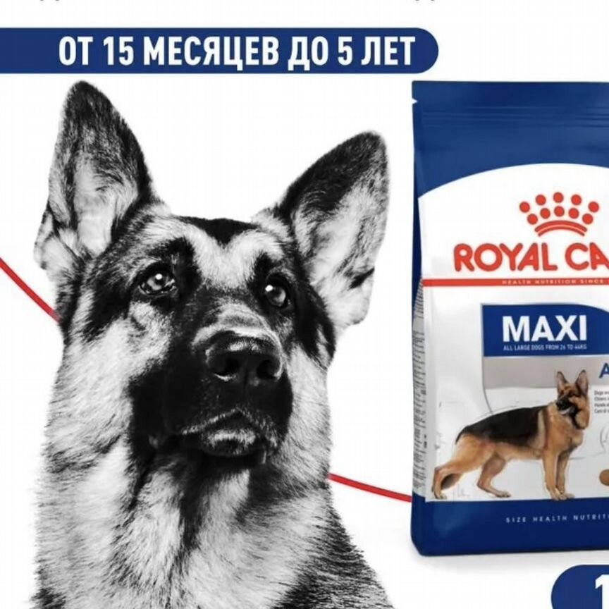 Royal Canin Maxi Adult 15 кг