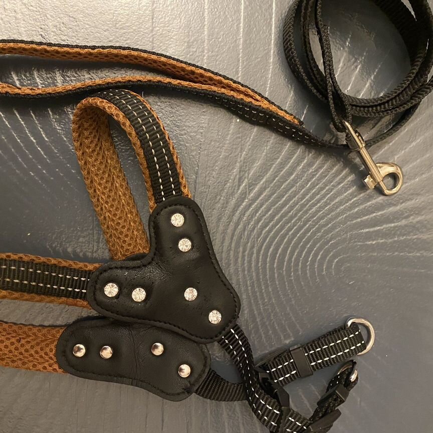 Шлейка для средней собаки