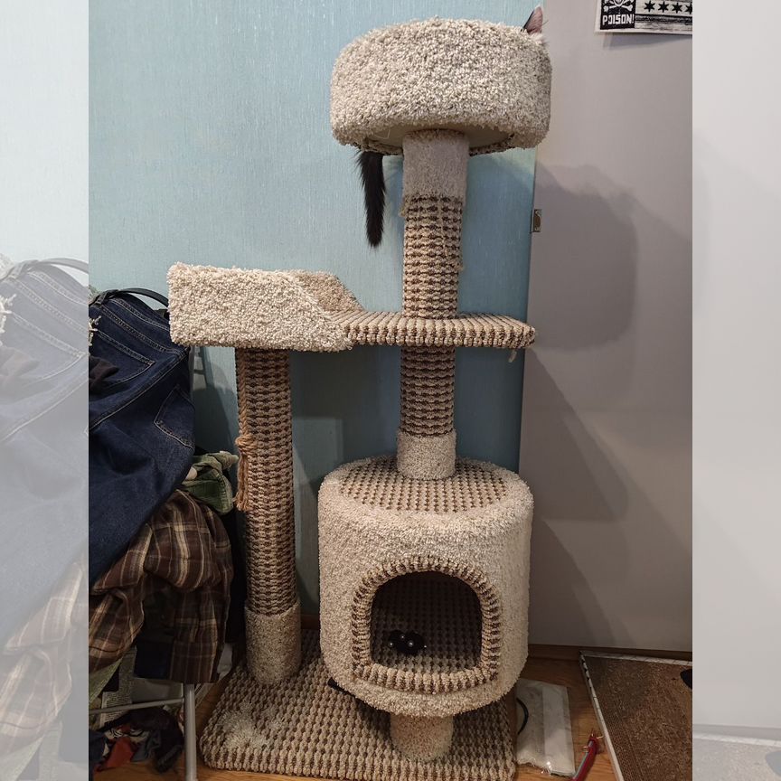 Когтеточка, домик для кошки