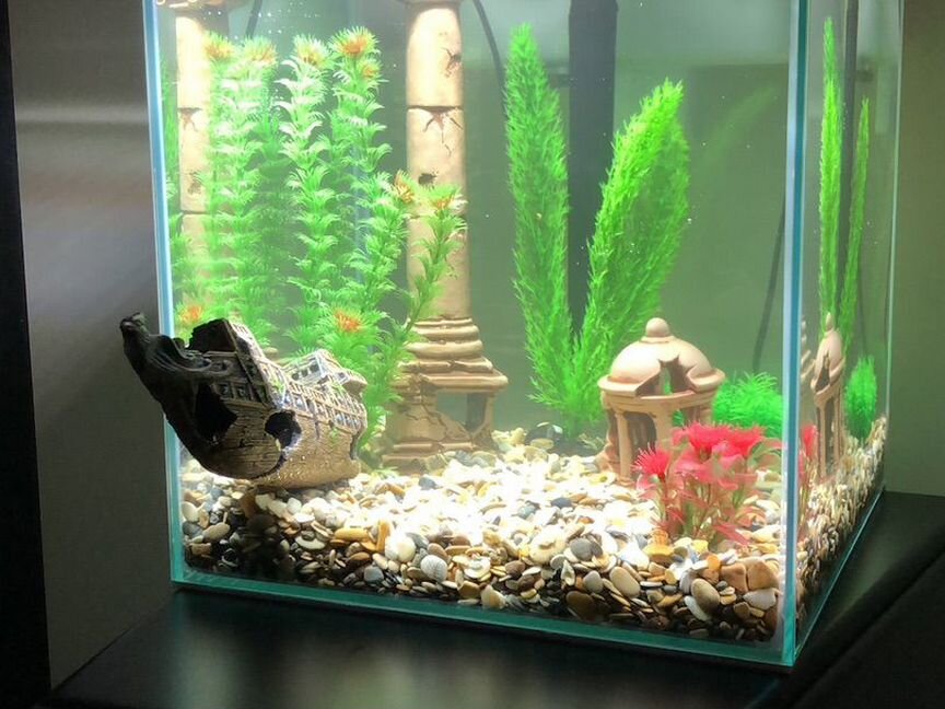Аквариум AquaEl Nano Reef Duo 35*35*40 см, 49 л