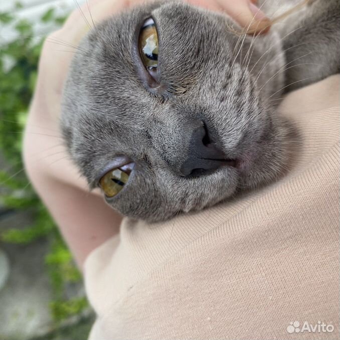 Кошка азиатской внешности кпоп блэк пинк