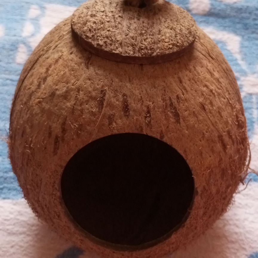 Домик для животных бронь наталья