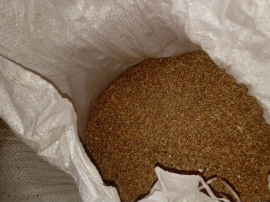 Зерно в мешках пшеница