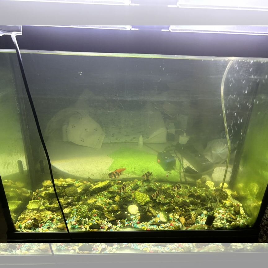 Панорамный аквариум tetra 120 л с тумбой