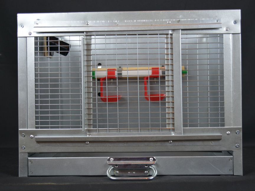 Брудер для цыплят оцинкованный "Стандарт-мини"